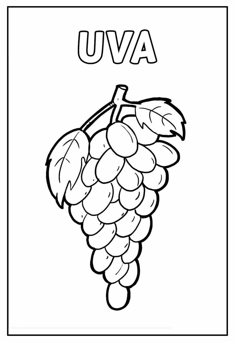 Desenhos de Uva para colorir - Pinte Online