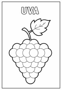 Desenhos de Uva para colorir - Pinte Online
