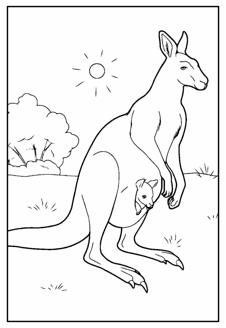Desenhos de Canguru para colorir e imprimir - Pinte Online